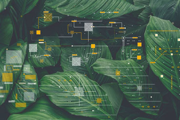 AVL CAMEO Basic Training | AVL Experience Cloud