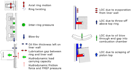 AVL EXCITE™ Rings Basic | AVL Experience Cloud