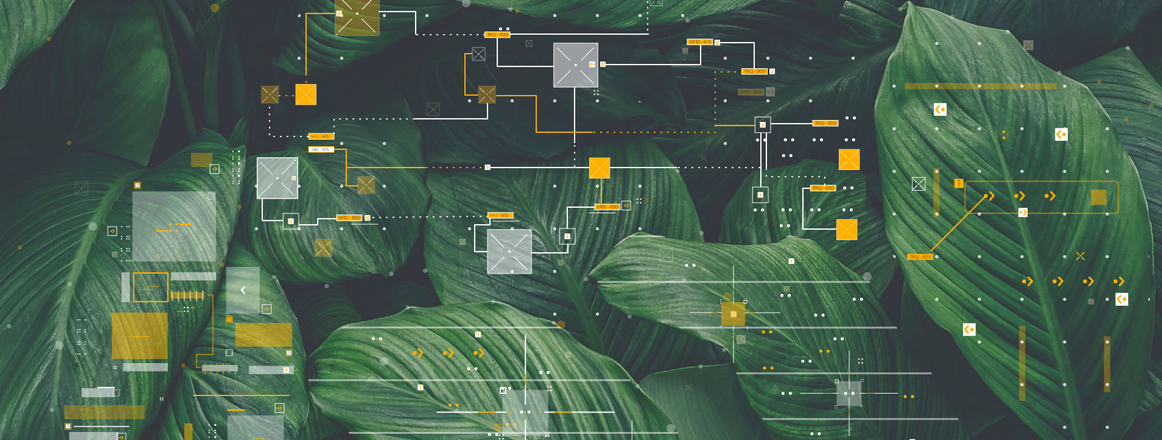 Become an Expert in AVL CAMEO 5™